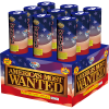 Four Seasons Fireworks – Your Central Florida Fireworks Source
